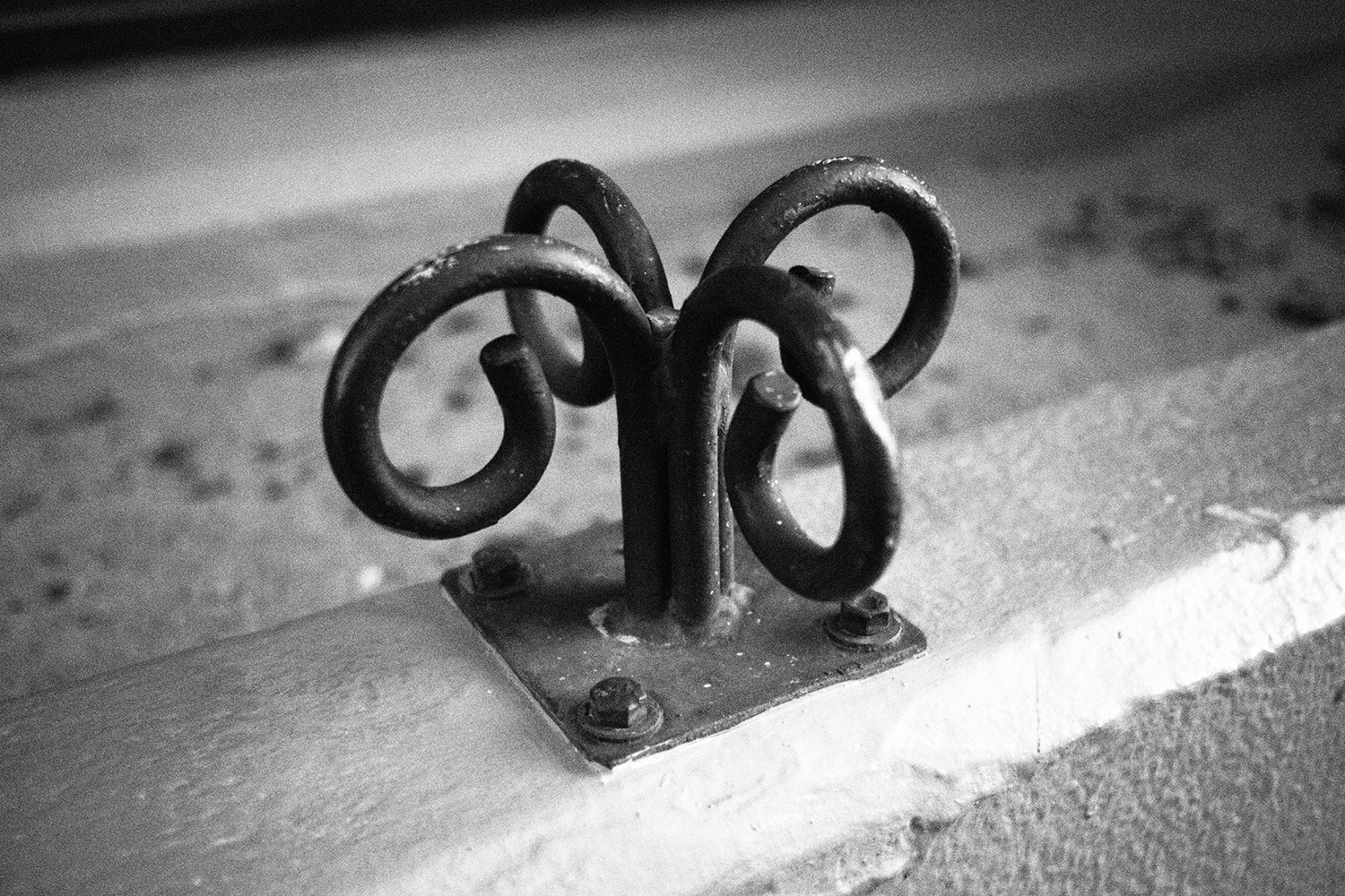 BILL CARTY.January 2022 | A Dozen Nothing